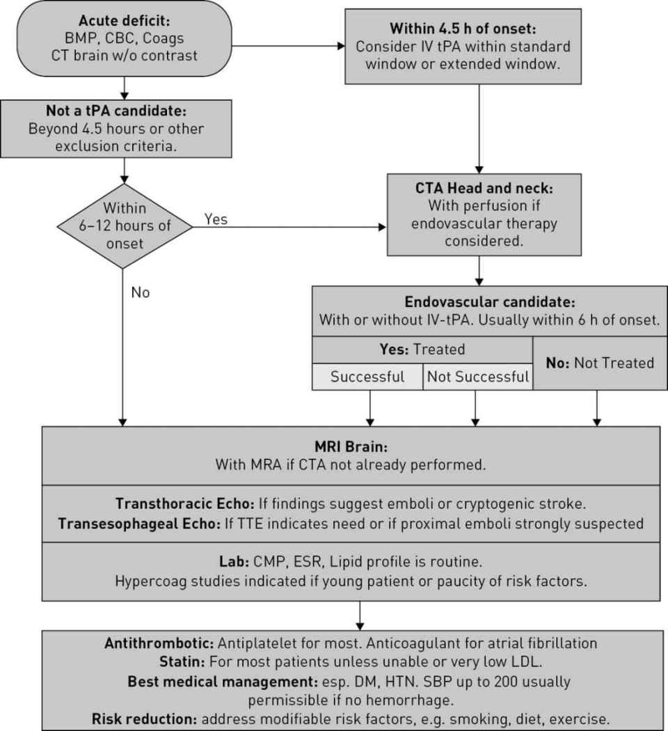 Vascular Disease | Neupsy Key