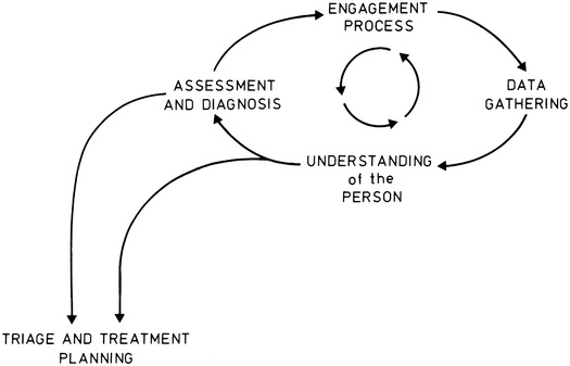 Assessment Perspectives and the Human Matrix | Neupsy Key