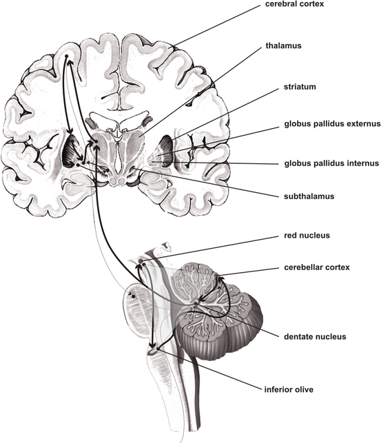 Rhythmical Involuntary Movements (Tremor and Tremor-Like Conditions ...
