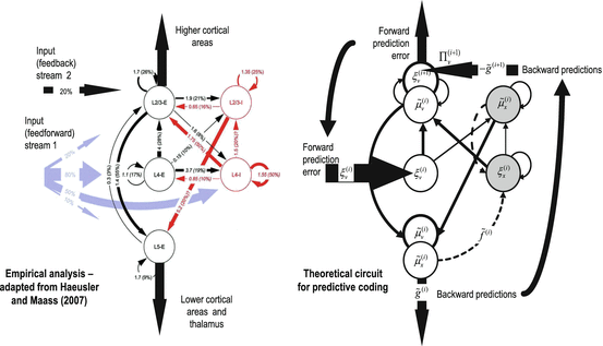 Active Inference, Predictive Coding and Cortical Architecture | Neupsy Key