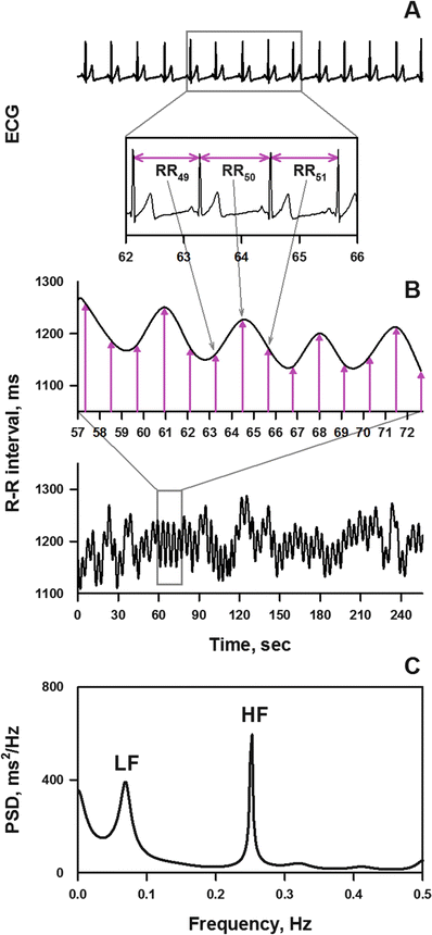 Introduction to Heart Rate Variability | Neupsy Key