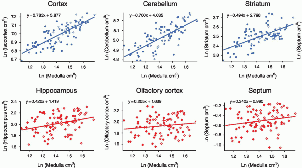 Brain Evolution and Development: Allometry of the Brain and Arealization of the Cortex | Neupsy Key
