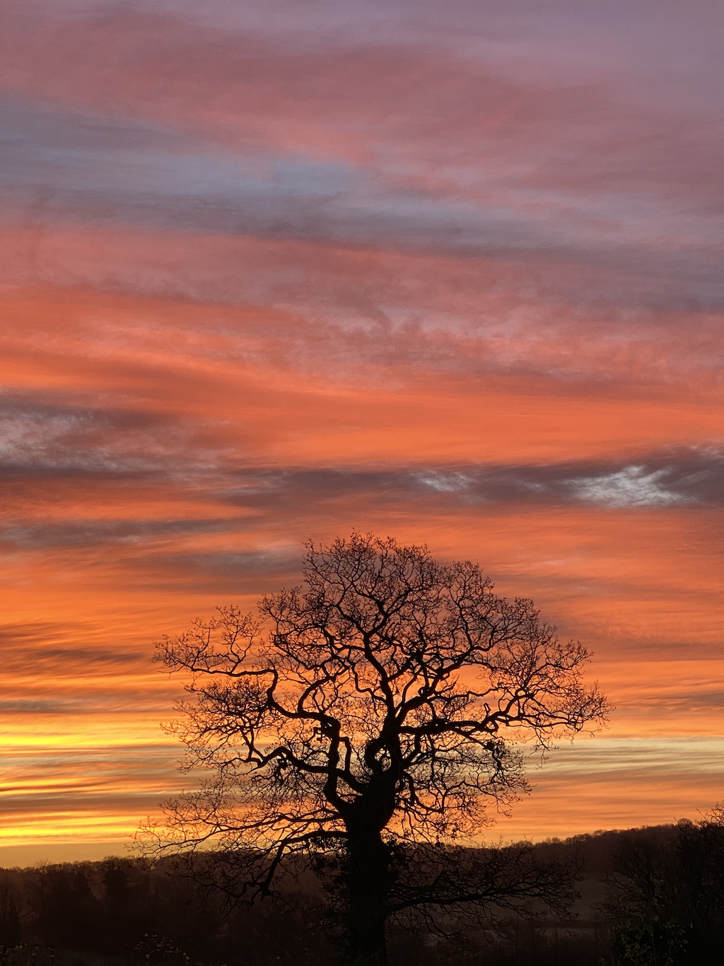 December dawns - Stephanie Hafferty
