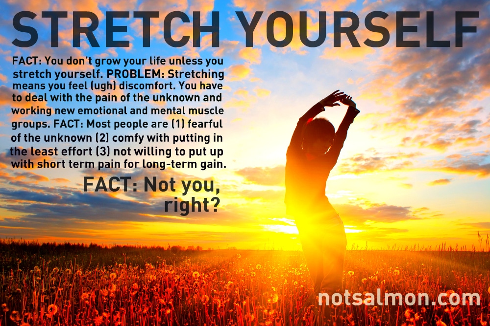 List Of Stretch Yourself Quotes References