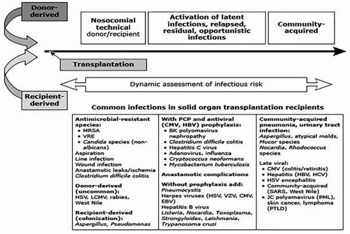 Transplant Complications: Infectious Diseases | Nurse Key