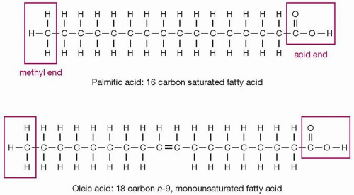 Lipids | Nurse Key