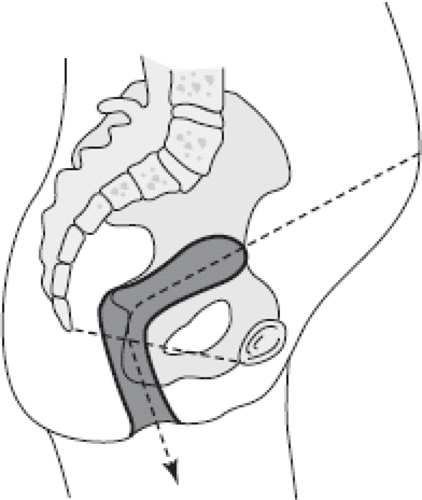 Maternal and Fetal Response to Labor | Nurse Key