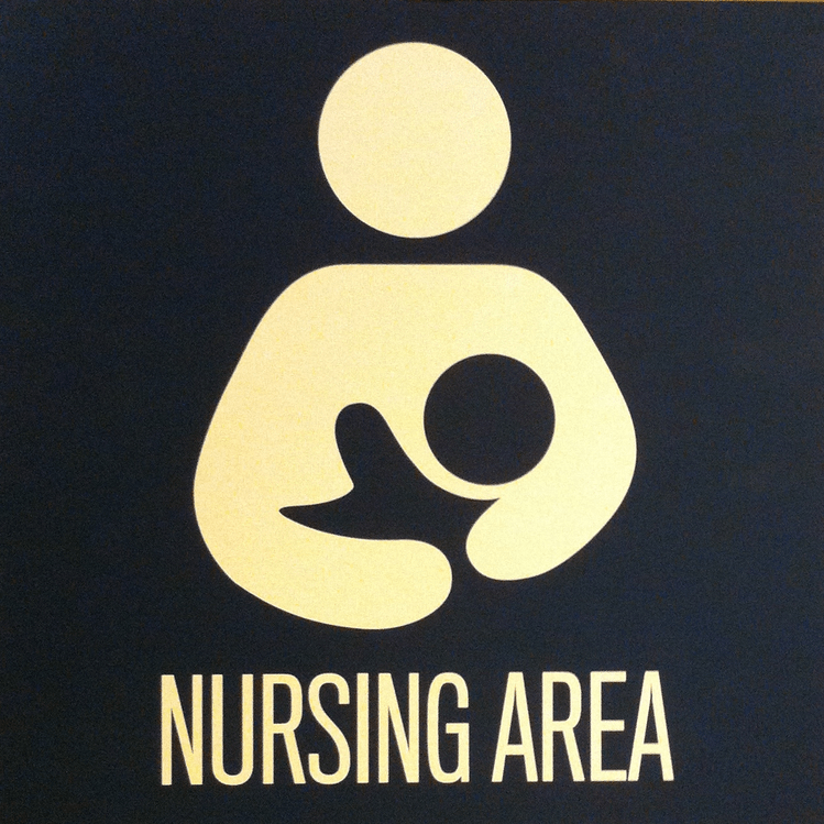 Nursing Clio Parenting in Academia: New Mom + Nursing + Academic ...