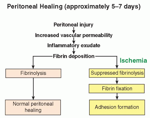 The Microsurgical or Peritoneal Approach to Conservative Reproductive ...