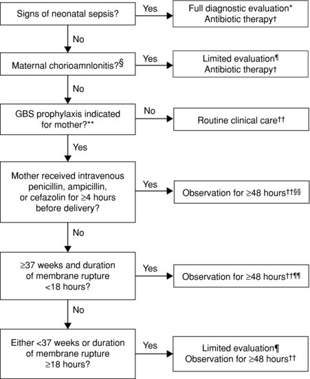 Rational antibiotic use | Obgyn Key