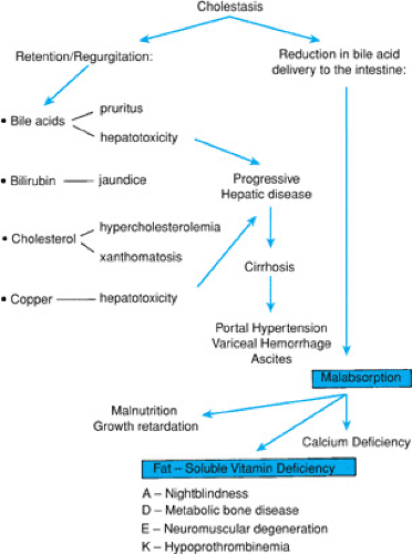 Neonatal Cholestasis | Obgyn Key