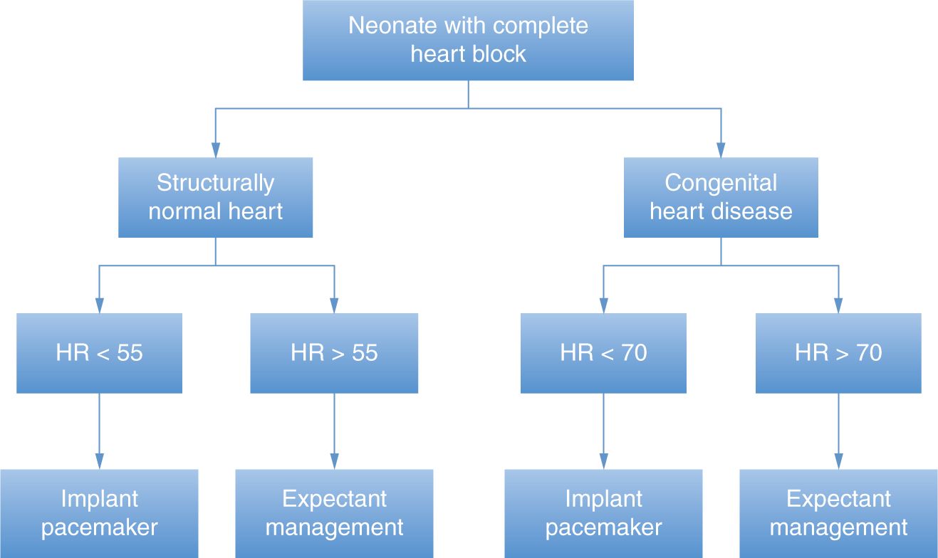 Practical Approach to Arrhythmias | Obgyn Key