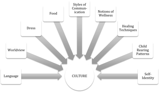 Cultural Considerations and Child Maltreatment | Obgyn Key