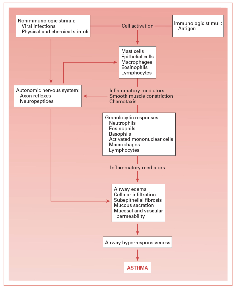 Wheezing and Asthma | Obgyn Key