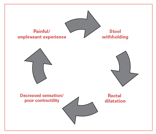 Constipation | Obgyn Key