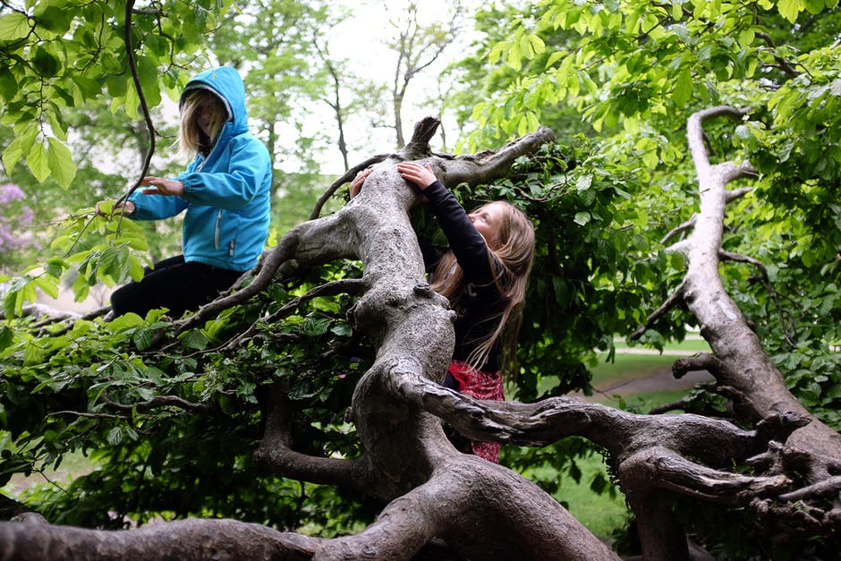 Odinism, Youth and Morality - The Odinic Rite