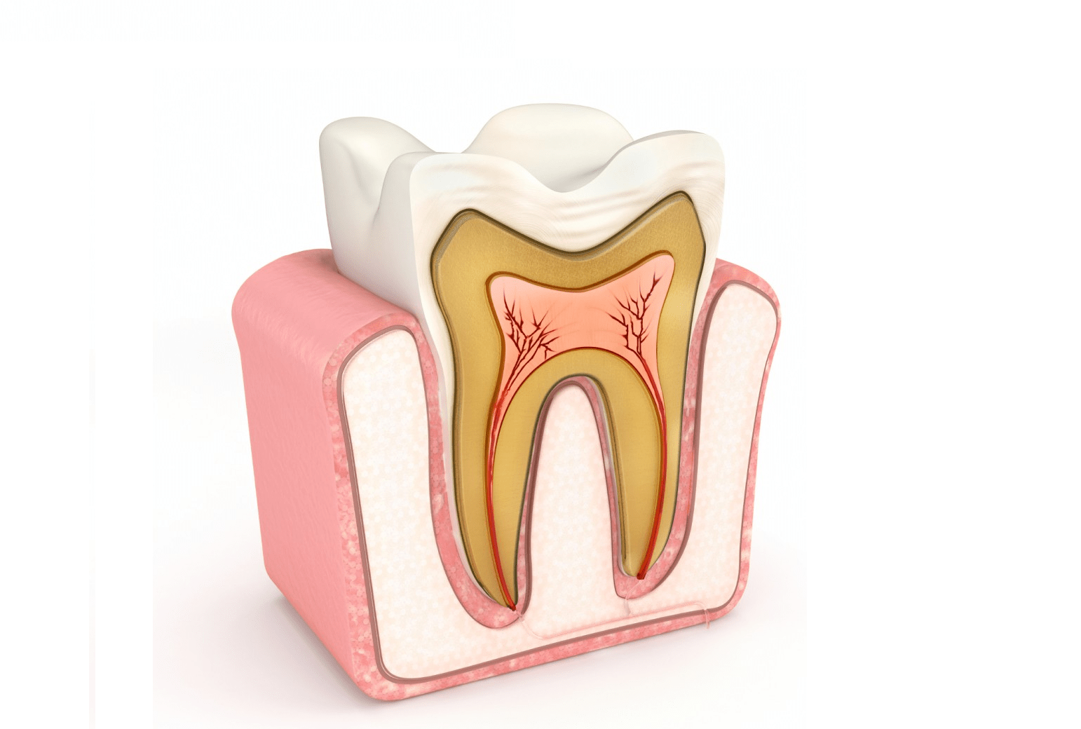 Proteção Complexo Dentino Pulpar - RETOEDU