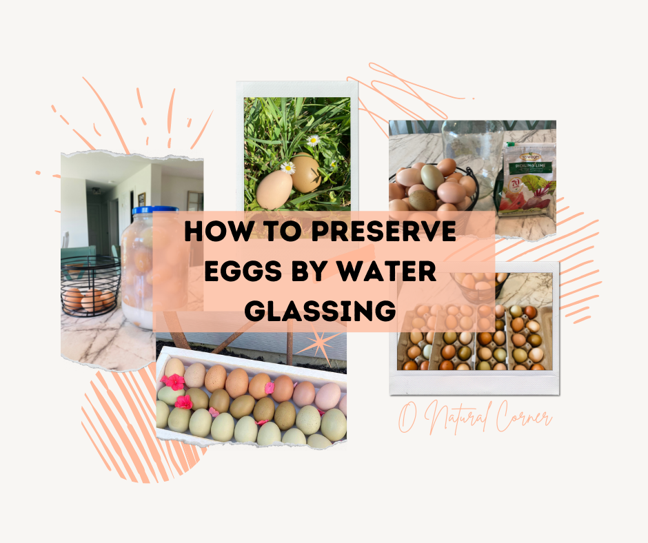 How to preserve eggs by water glassing - O Natural Corner