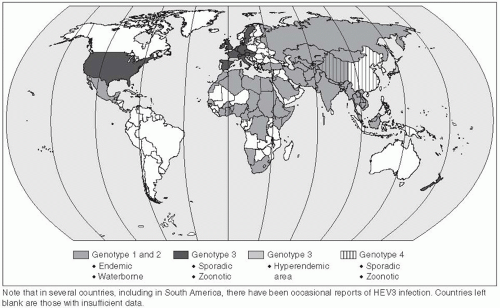 Viral Hepatitis | Oncohema Key
