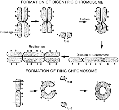 CYTOGENETIC PRINCIPLES | Oncohema Key