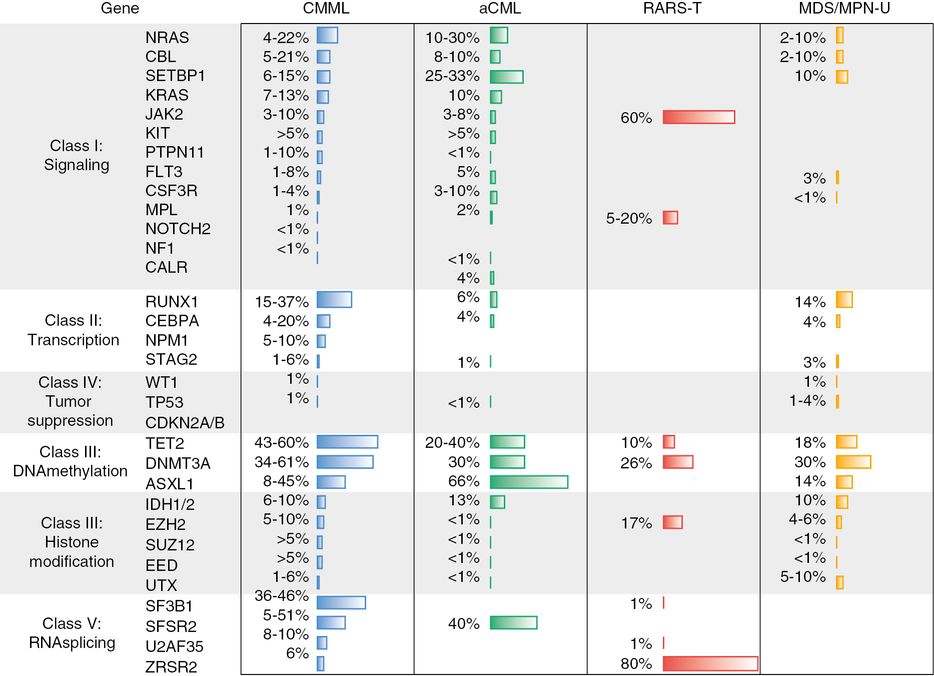 Myelodysplastic/myeloproliferative neoplasm overlap syndromes ...