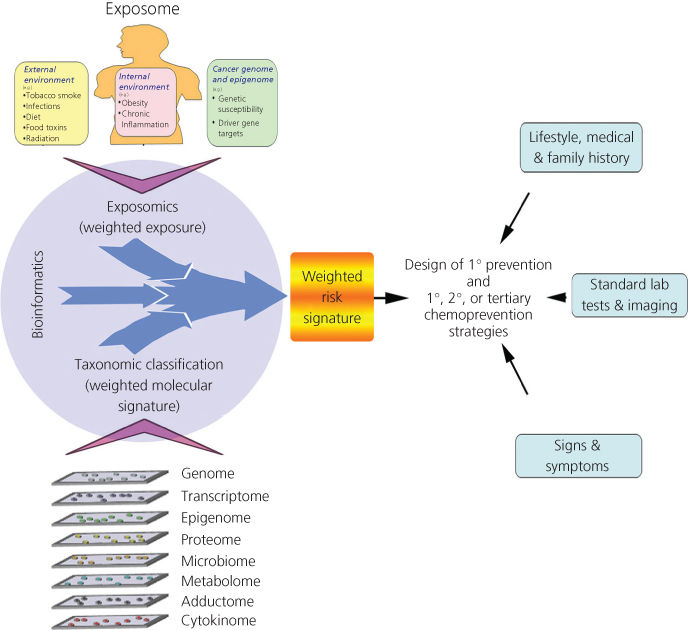 Chemical carcinogenesis | Oncohema Key