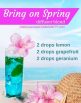 15 Best Spring Diffuser Recipes and Blends {for essential oils} - One ...