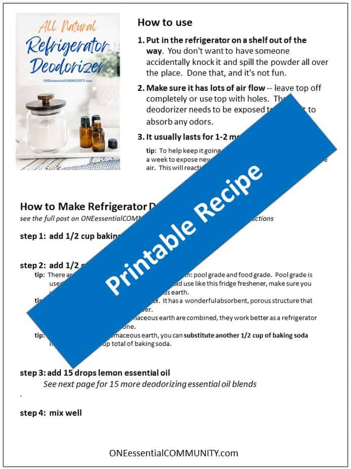 DIY Refrigerator Deodorizer {natural & effective!} - One Essential ...