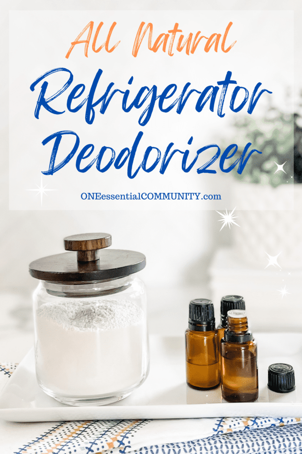 DIY Refrigerator Deodorizer {natural & effective!} - One Essential ...
