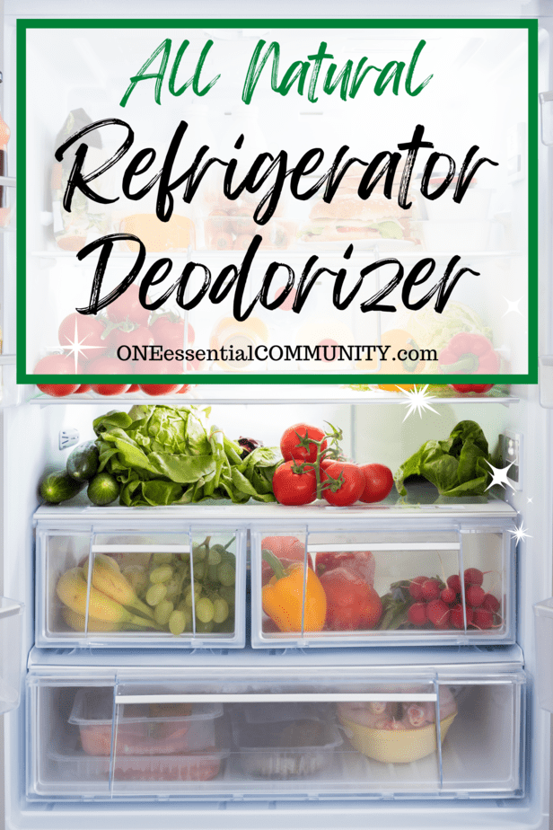 DIY Refrigerator Deodorizer {natural & effective!} - One Essential ...