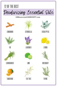 Deodorizing Essential Oils and 13 Ways to Get Stinky Smells Out of Your ...
