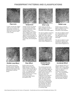 Fingerprints Hand Facts News About Hands Page 2