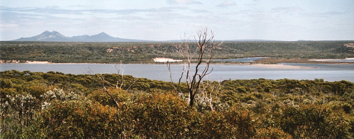 Fish Hunter – Outbakkers