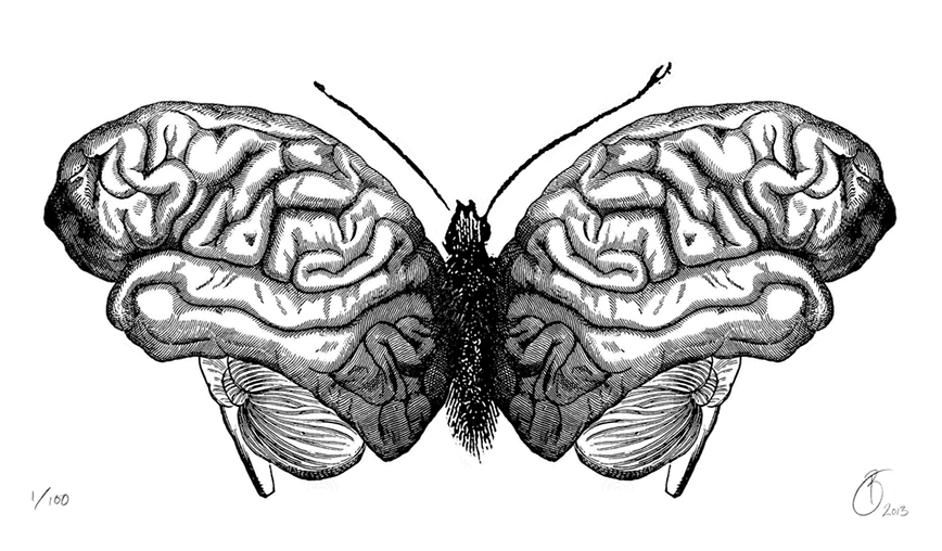 Butterbrain - Oxyopia HOME