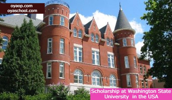 Scholarship at Washington State University in the USA - OYA School