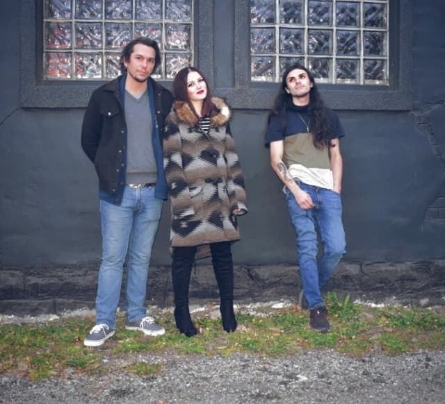 Gallery – Panda Forces