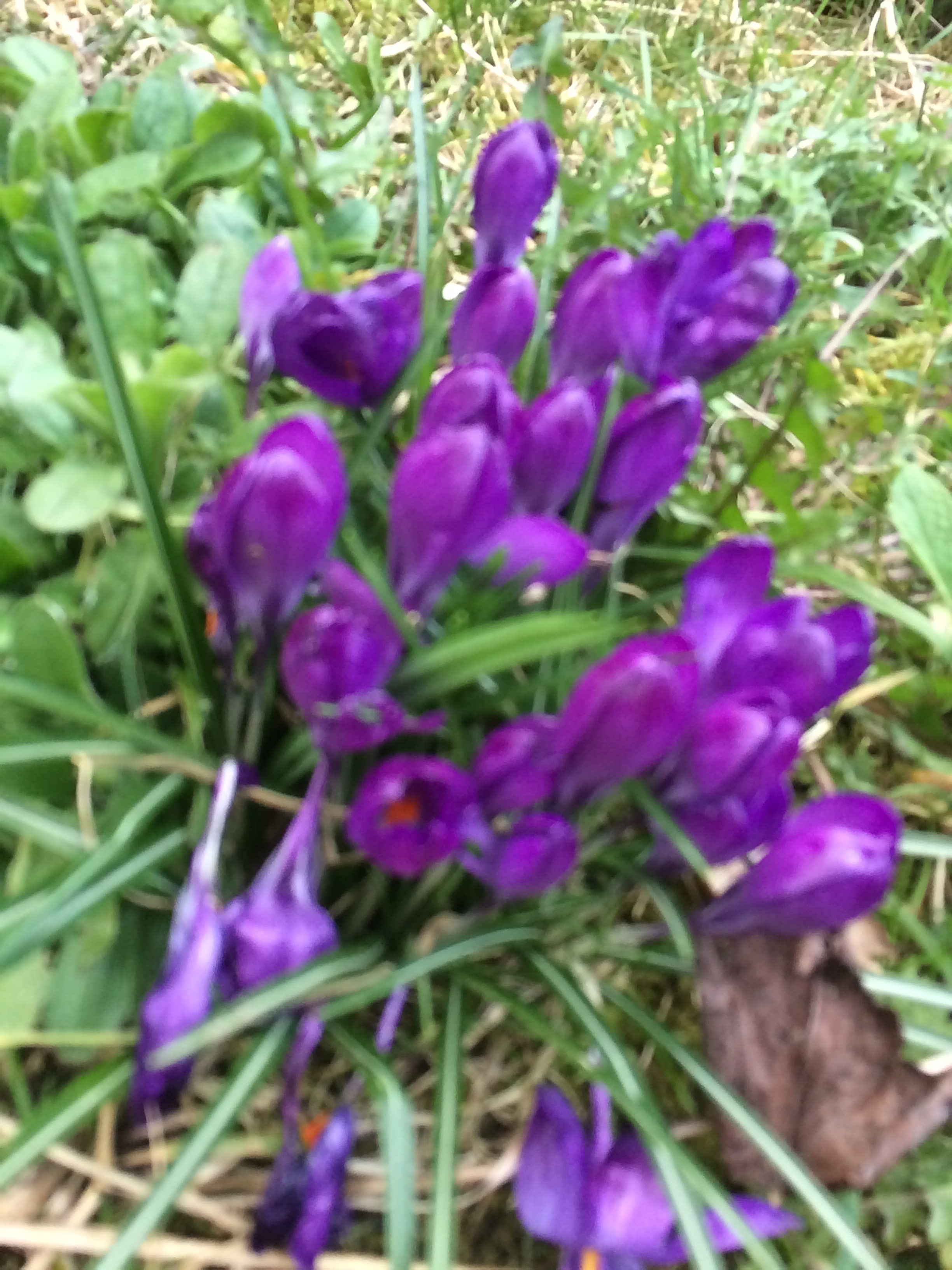 …Two Feet Apart | PARWICH.ORG