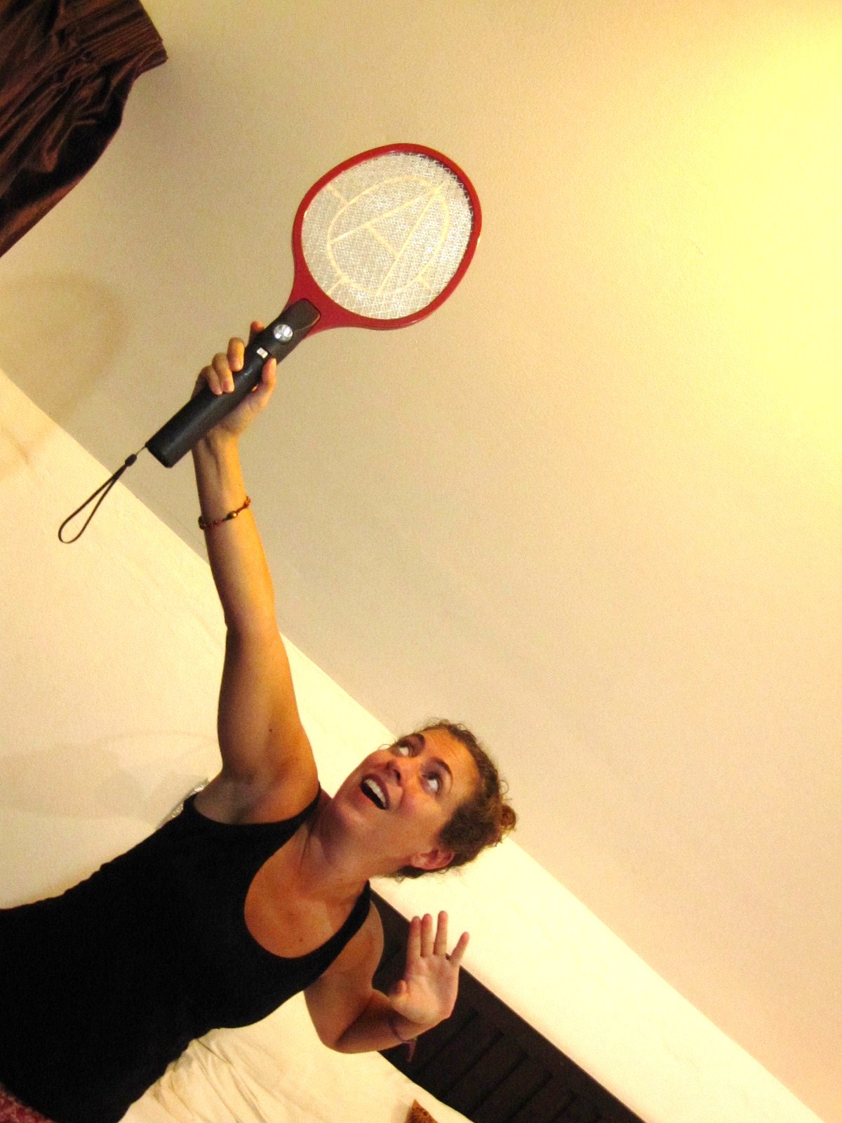 The Sting: How the Electronic Mosquito Bat Will Save America ...