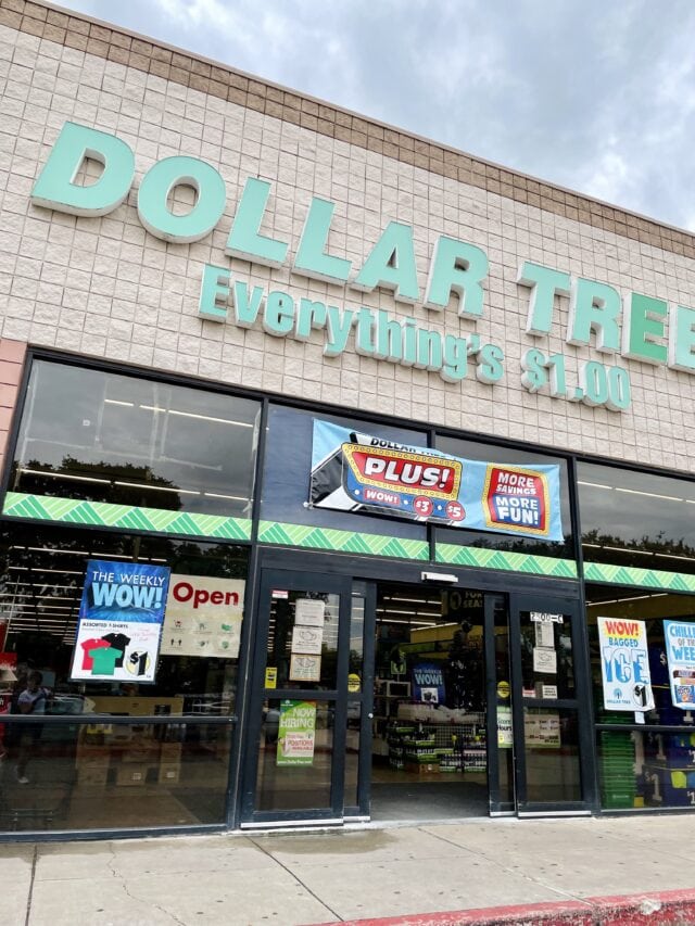 Dollar Tree Plus - What to Know Before You Go!
