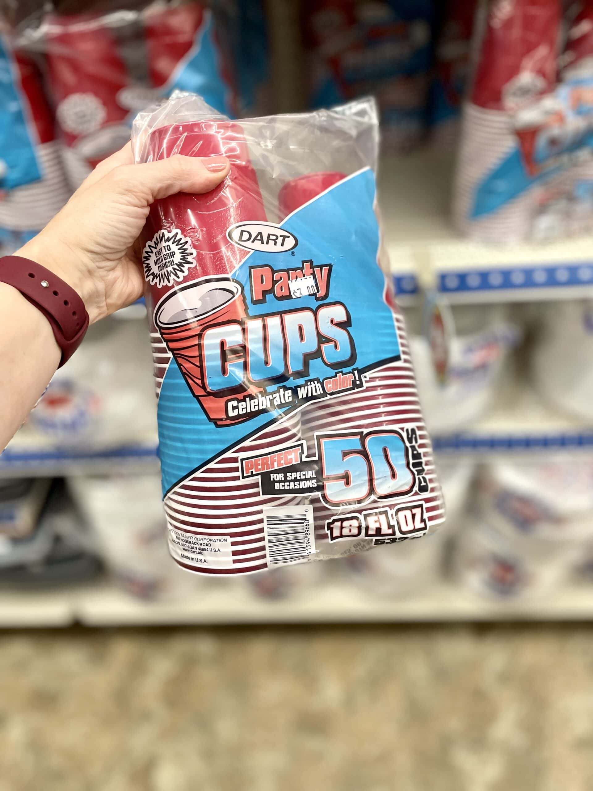 Dollar Tree Plus - What to Know Before You Go