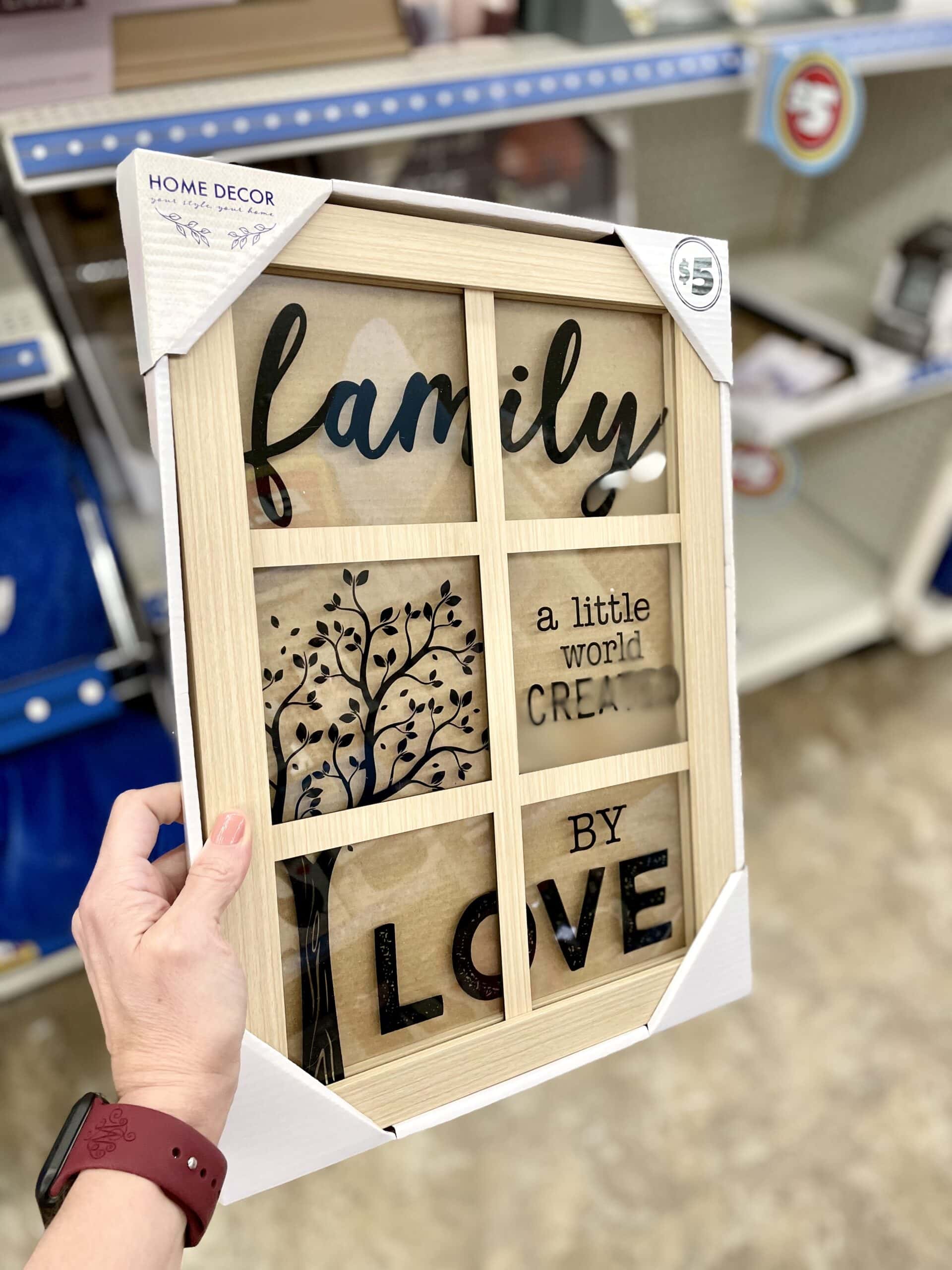 Dollar Tree Plus - What to Know Before You Go