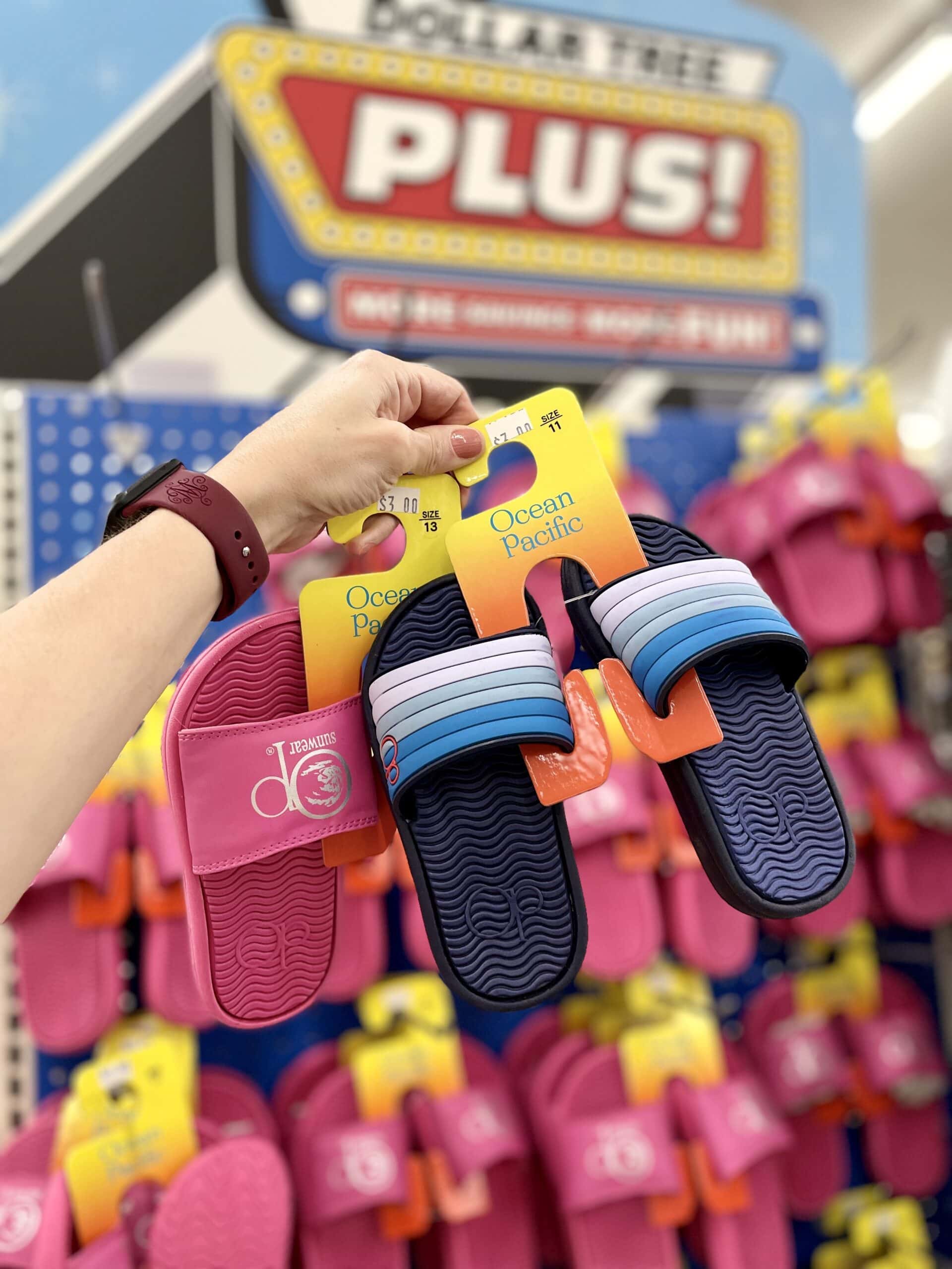 Dollar Tree Plus - What to Know Before You Go