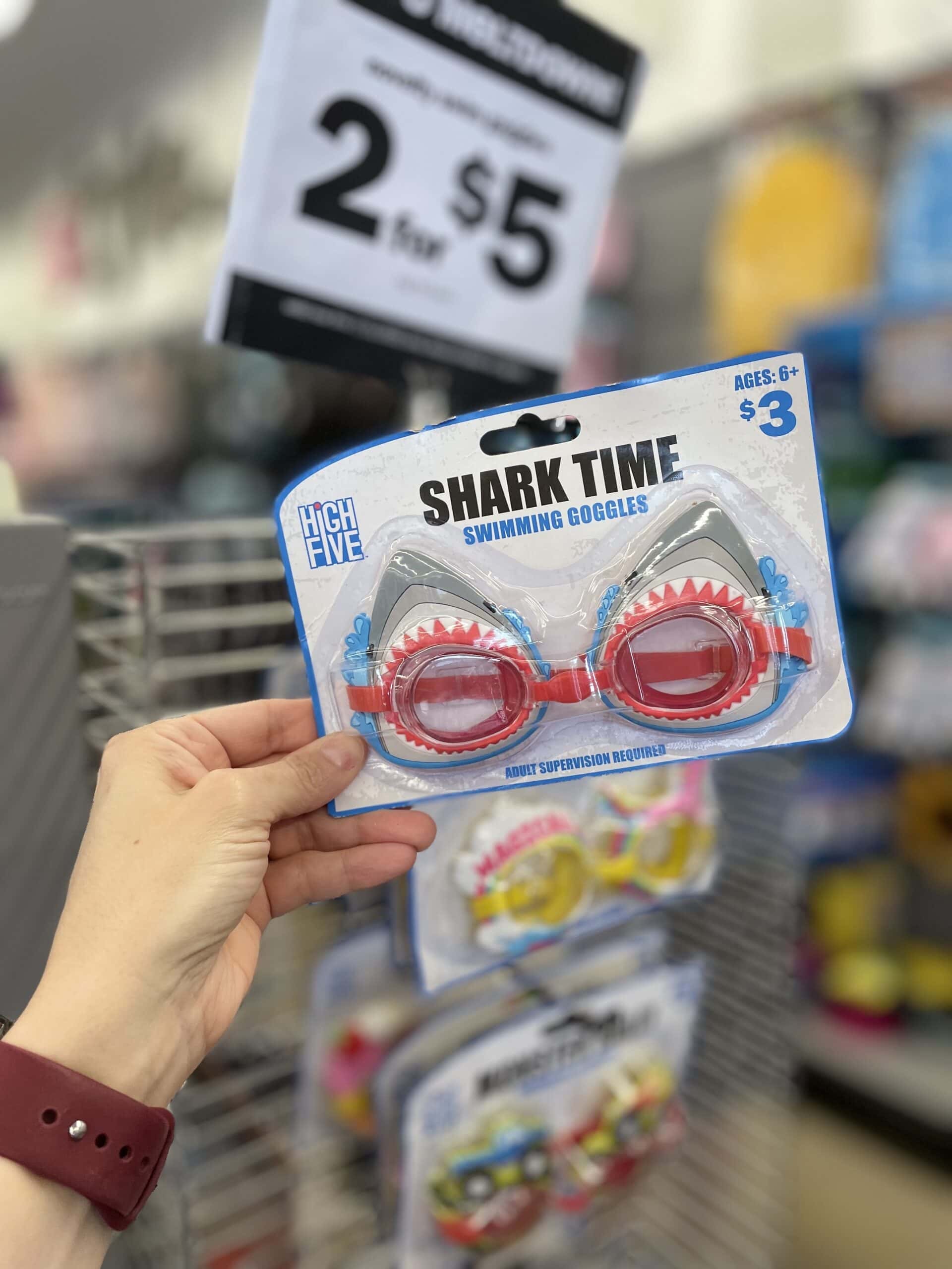 Five Below Fun Finds (Everything is Priced at $5 or LESS!)