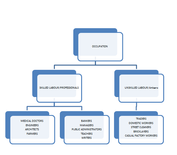 Different types of Occupation: What every Teen should know - Passnownow