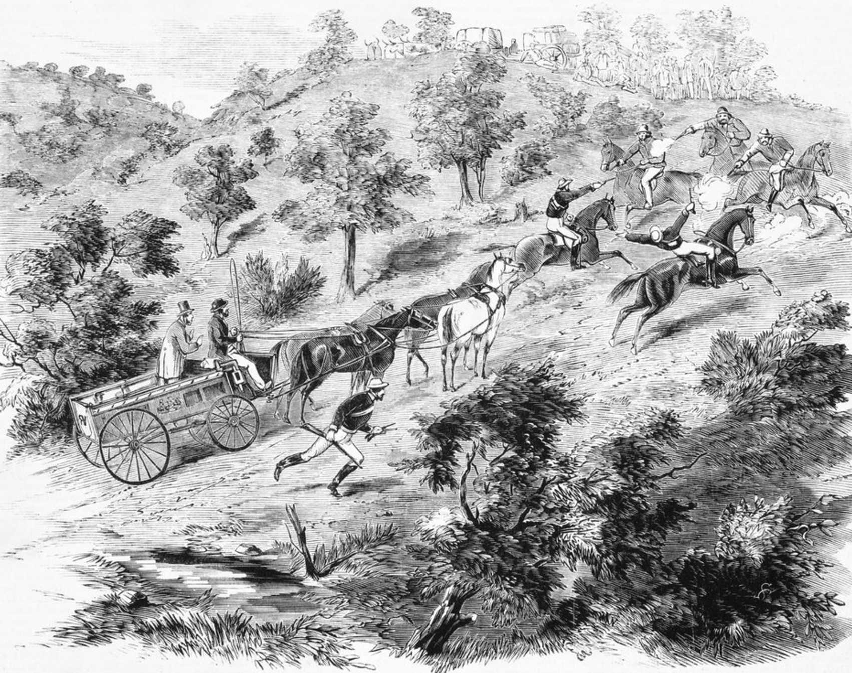 By Cobb & Co coach across the Blue Mountains.