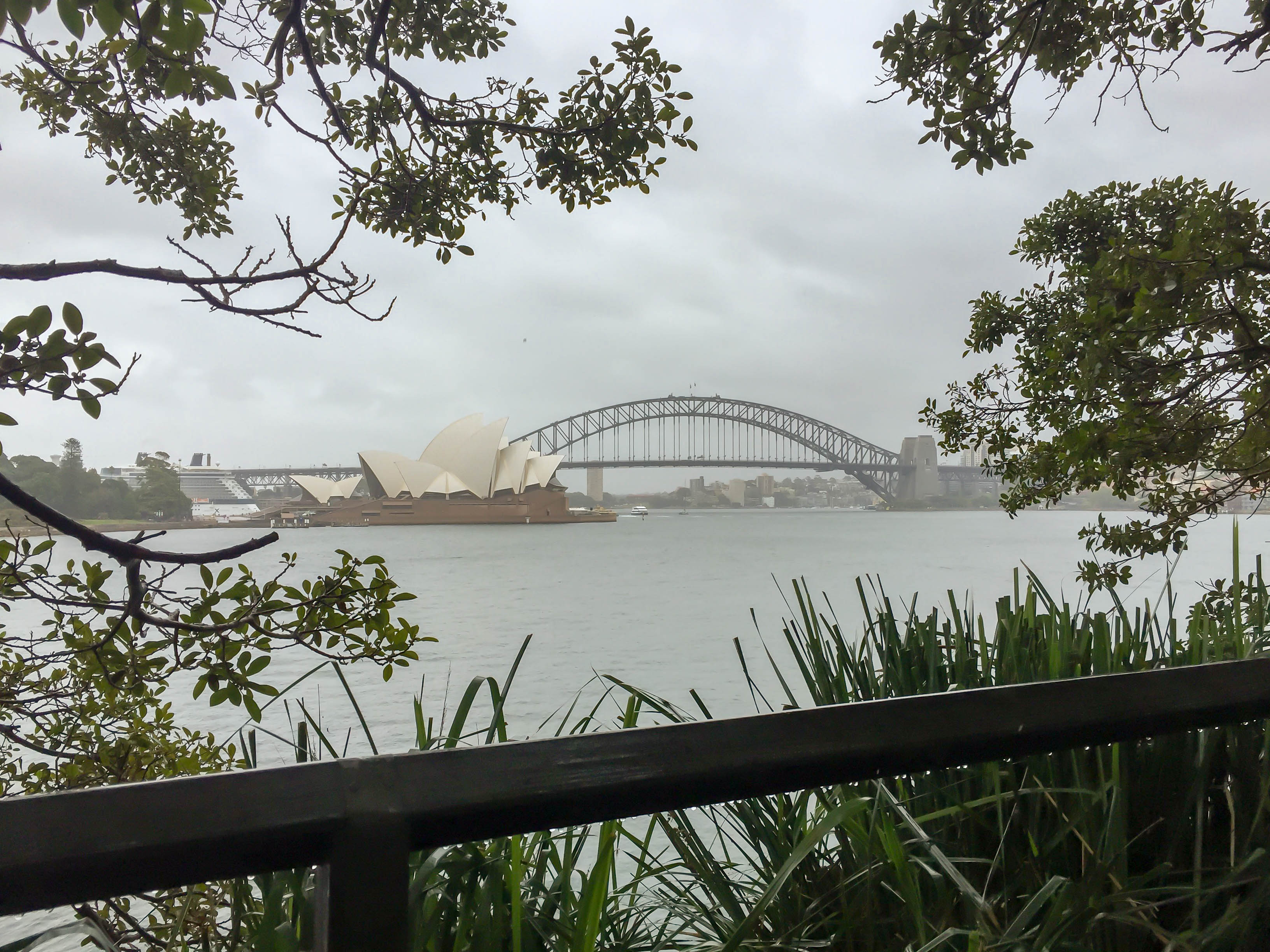 Perpetual Footsteps » Rainy Days in Sydney