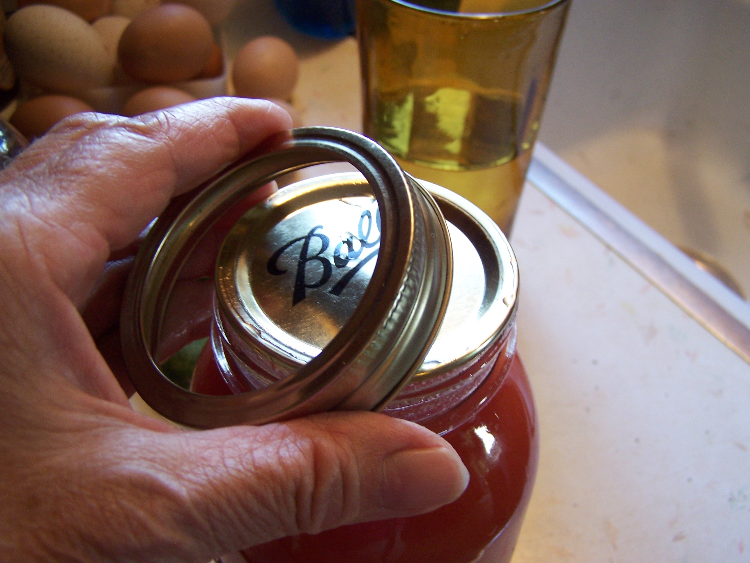 How To Use Your Pressure Canner | Country Chatter