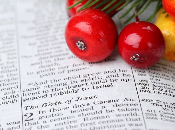 25 Advent Scriptures to Celebrate Christmas - Pink Fortitude, LLC