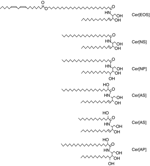 Epidermal Lipids and the Intercellular Pathway | Plastic Surgery Key