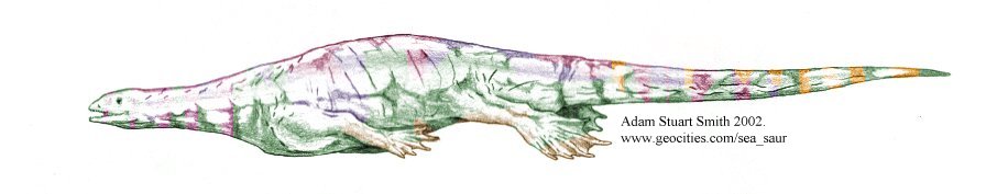 Artwork – Plesiosaur Directory